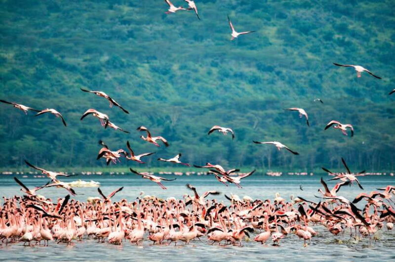 Sri Lanka: 9-Day Private Tour Hotels, Meals, Guide-Transport - Practical Considerations