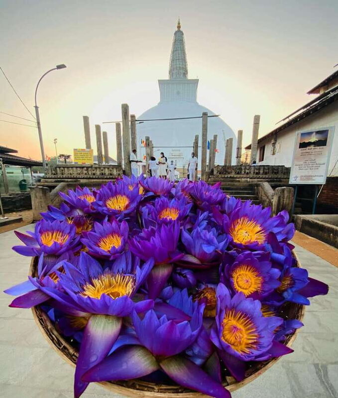 Sri Lanka Ancient Temple, Wildlife, Hill Country Train - Key Points