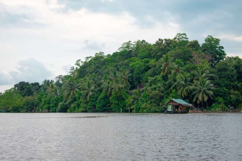 Sri Lanka Bentota: Private Mangrove Lagoon and River Cruise - Who Will Love This Experience?