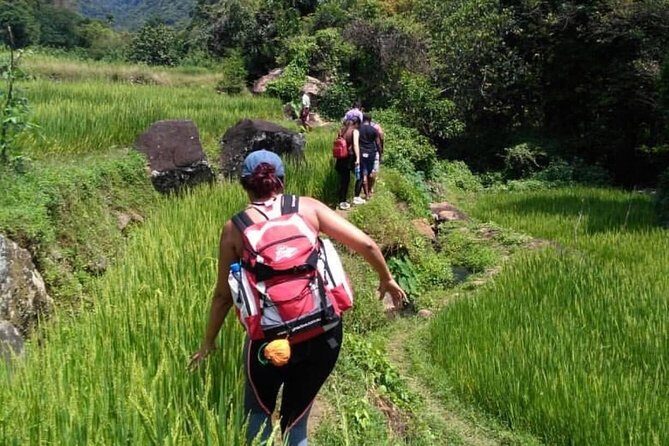 Sri Lanka budget tour package 8 days with driver,vehicle and H/B accommodations. - Final Thoughts