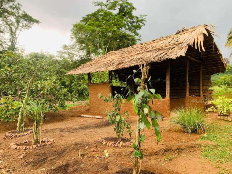 Sri Lanka: Ceylon Cinnamon Experience & Spice Garden Tour - Exploring the Sri Lanka: Ceylon Cinnamon Experience & Spice Garden Tour