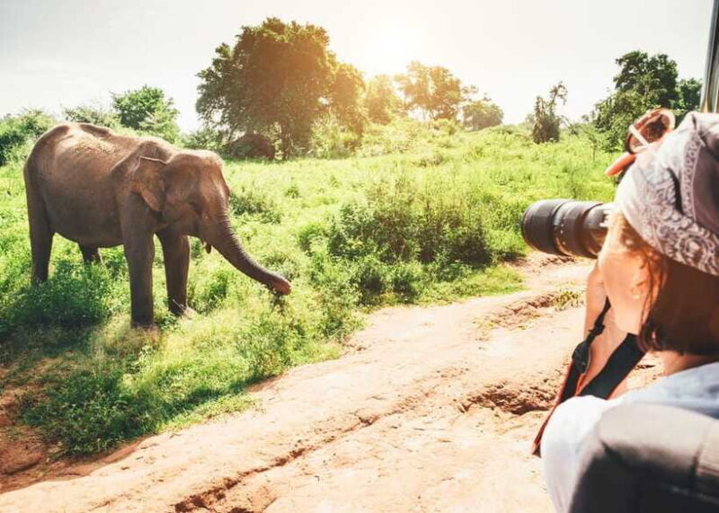 Sri Lanka Compact Highlight 5-Day Tour Sigiriya, Kandy, Ella - Frequently Asked Questions