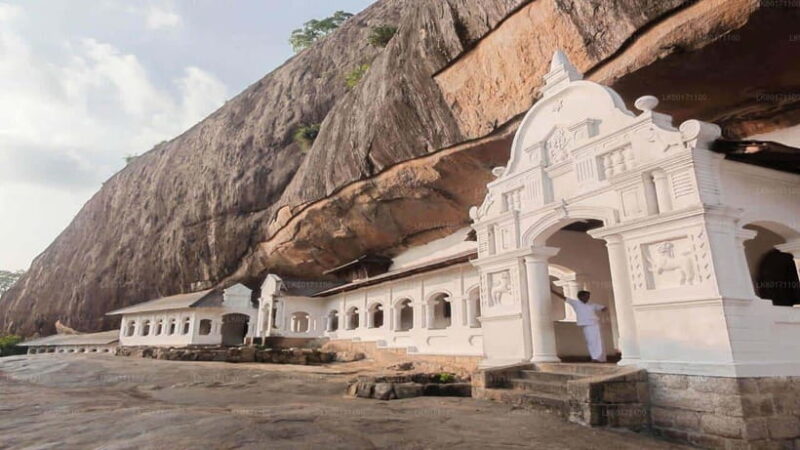 Sri Lanka Culture Triangle: 4-Day Journey with 3 Nights Stay - Day 1: Dambulla Cave Temple & Safari Adventure
