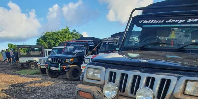 Sri Lanka: Elephant Safari Adventure with Hotel Pickup - An Authentic Elephant Encounter in Sri Lanka