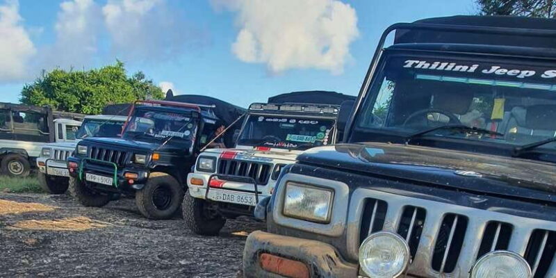 Sri Lanka: Elephant Safari Adventure with Hotel Pickup - The Practical Side: Value, Cost, and Logistics