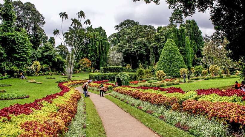 Sri Lanka Heritage Sites: 6-Day Private Guided Tour - Final Thoughts