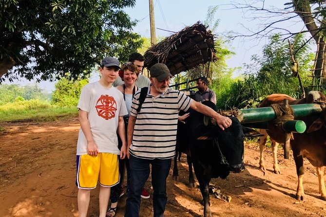 Sri Lanka highlights in 6 days - What Makes This Tour Stand Out?