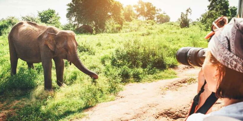 Sri Lanka hill country bless Kandy, Nuwara eliya and Ella - Key Points