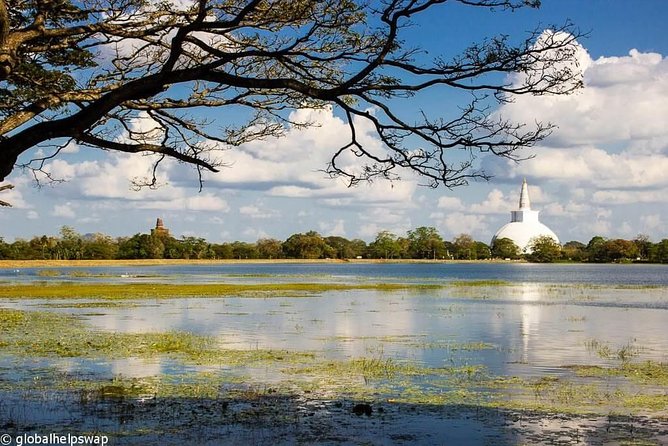 Sri Lanka Multi Day Car Hire with English Speaking Driver-Guide - Who Is This Tour Best For?