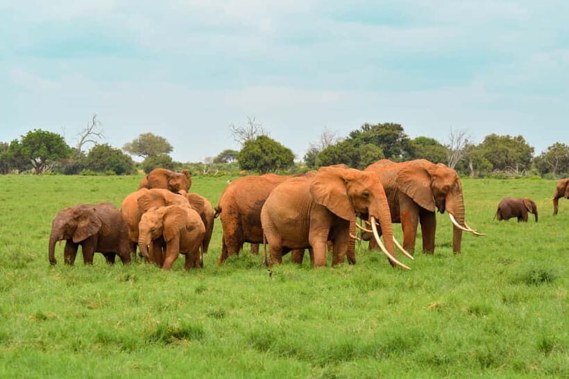 Sri Lanka Nature, culture, history and wildlife in 4 days - Key Points