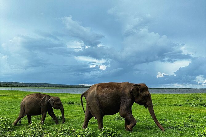 Sri Lanka Personal Tour Driver in private vehicle - The Cost and What It Means for Value