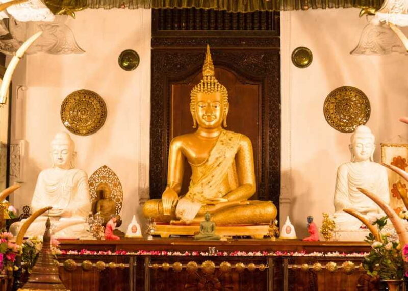 Sri Lanka Private 2-day Tour:Train Trip, Kandy, Nuwara Eliya - The Sum Up