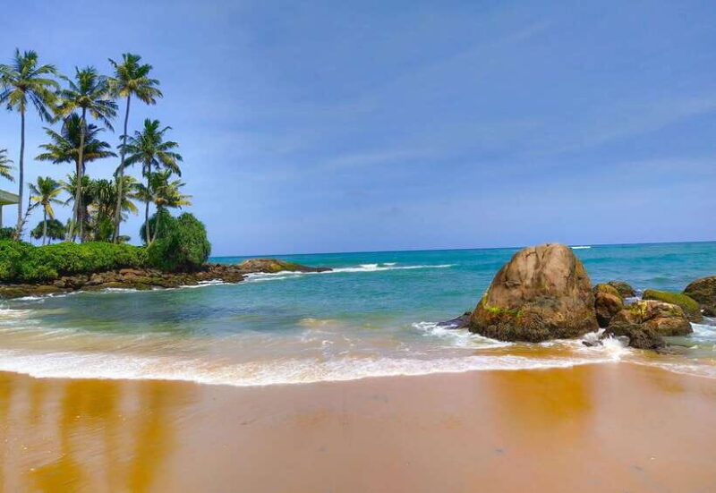 Sri Lanka Private 7-day Tour: Transport, Guide, Hotels, Food - Who Will Love This Tour?