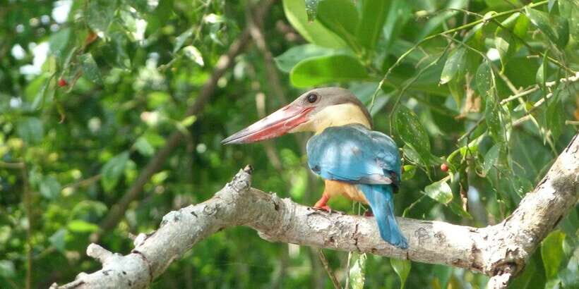Sri Lanka Private Galle Tour: stilt fisherman, Galle Fort... - Final Thoughts