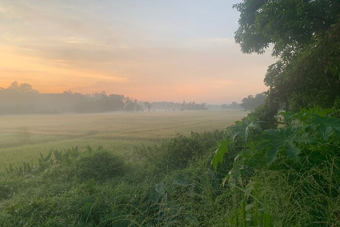 Sri Lanka - Private Ratnapura Gem Tour with Gem and jewelry Expert - Key Points