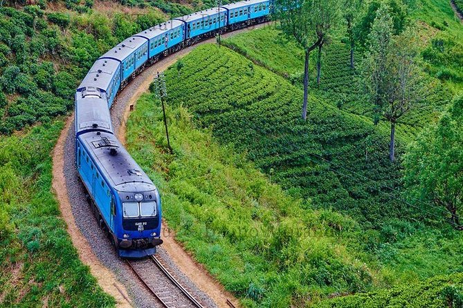 Sri Lanka Private Tour 10 DAYS Driver/Vehicle/Accommodation H/B - FAQ