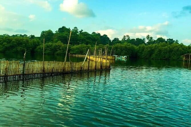 Sri Lanka Private Tour Guide, Driver with Car - The Practicalities