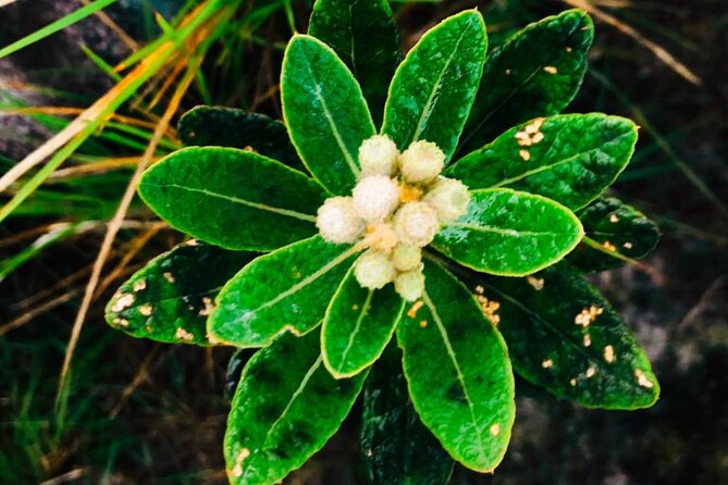 Sri Lanka Privet Tour/7 days Chauffeur, Vehicle, Accommodations + Customizable - Practical Details