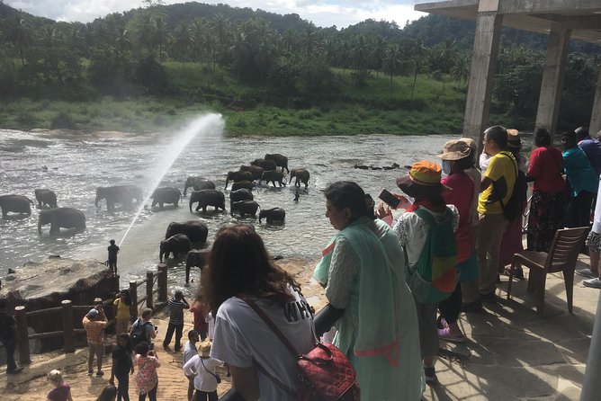 Sri Lanka round tour - Why This Tour Stands Out