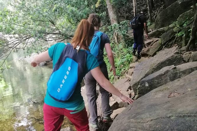 Sri Lanka Sinharaja Rain Forest Tour with Transport - Final Thoughts: Is It Worth It?