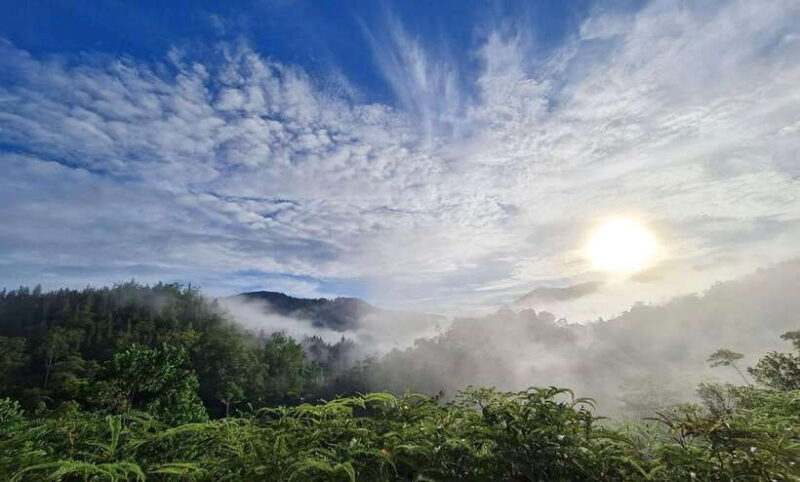 Sri Lanka : Sinharaja Rainforest Guided Trek with Pickup - The Practicalities and Value