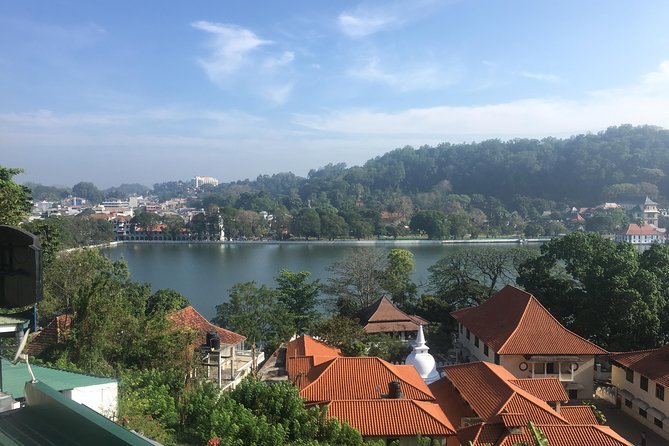 Sri Lanka Tour in 8 Days - Day 6: Wildlife Safari in Yala National Park