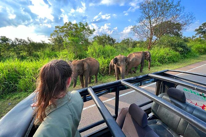 Sri Lanka Travel in 08 Nights 09 Days - Day-by-Day Breakdown: What to Expect