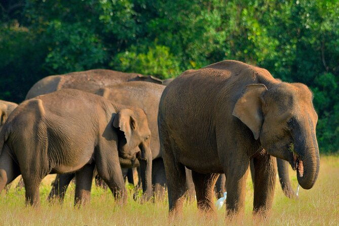Sri Lanka Unveiled: 12 Nights Complete Experience Package - Key Points