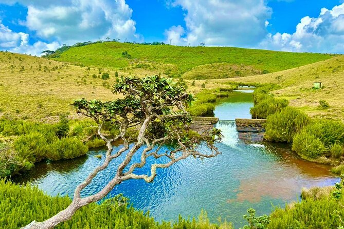 Sri Lanka Unveiled: 12 Nights Complete Experience Package - Who is This Tour Best For?