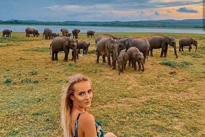 Sri Lanka V.I.P. private Tour package 4.N - 5 days oll including - Introducing the Sri Lanka V.I.P. Private Tour: A Deep Dive into the Island’s Best