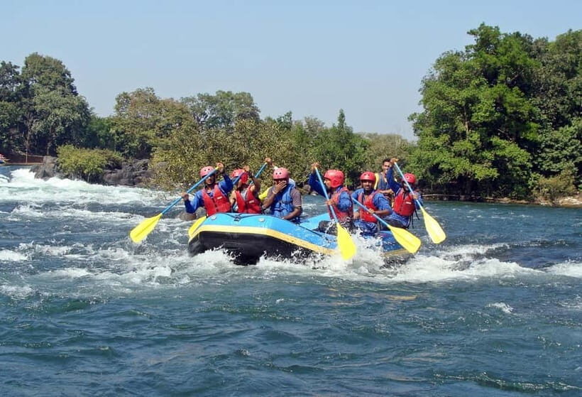Sri Lanka: Wildlife Wonders Of Sri Lanka Private 5-day Tour - Key Points