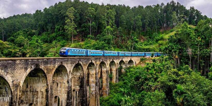 Sri Lanka: Wildlife Wonders Of Sri Lanka Private 5-day Tour - Summary of the Tour’s Value