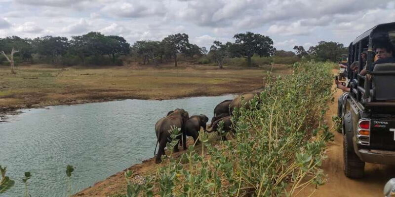 Sri Lanka: Yala National Park Private Safari - Discovering Yala National Park: What You Can Expect