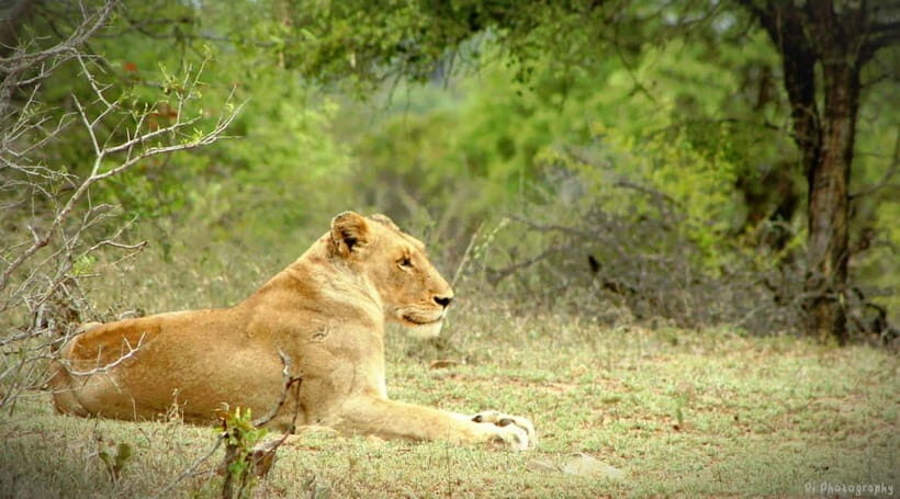 Sri Lanka:10-Day Peaks & Beaks Tour -Entry & Adventures Fees - Key Points