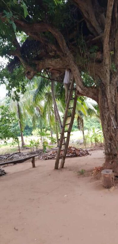 Sri Lankan Cooking Class & Village Activity Hotel Pickup - What’s Included and What’s Not