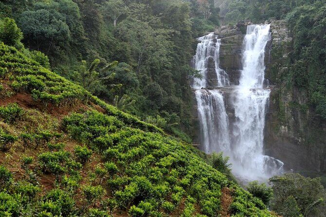 Srilanka 7 Days Classical Tour- Private Car (Can Customized) - Key Points