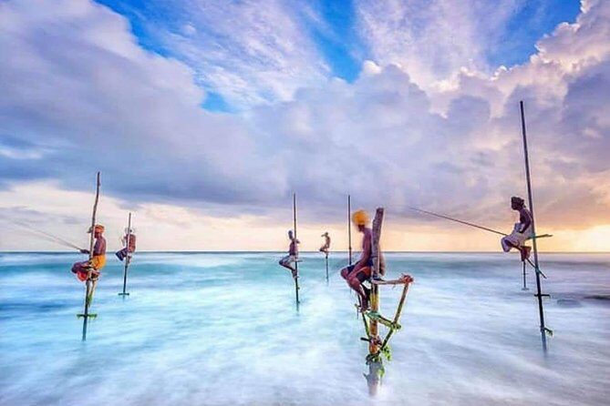 Srilanka 7 Days Classical Tour- Private Car (Can Customized) - An In-Depth Look at the 7-Day Sri Lanka Tour