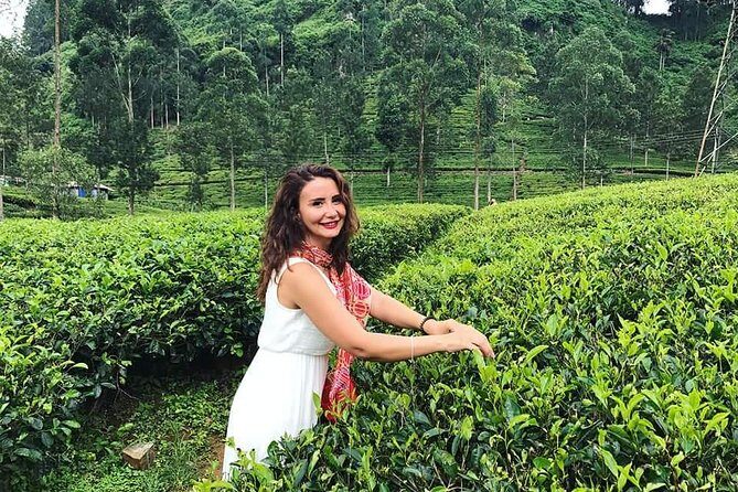 Srilanka 7 Days Classical Tour- Private Car (Can Customized) - The Sum Up