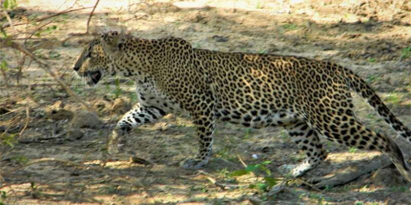 Srilanka - Discover your amazing time with expert guide - Key Points