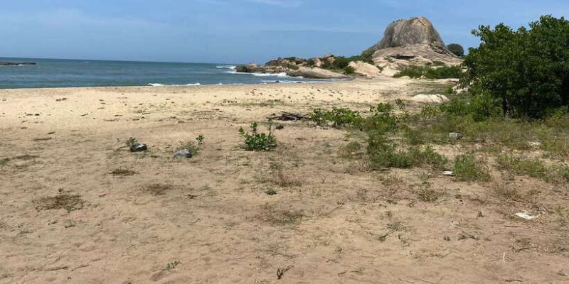 Srilanka - Discover your amazing time with expert guide - Cultural & Culinary Highlights