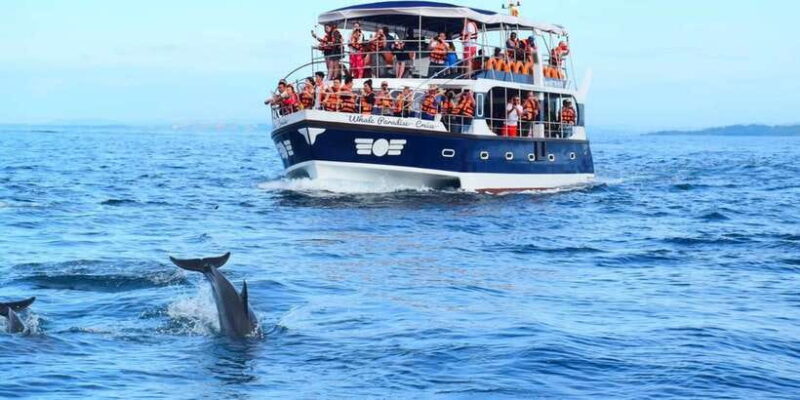 Srilanka - Discover your amazing time with expert guide - FAQs