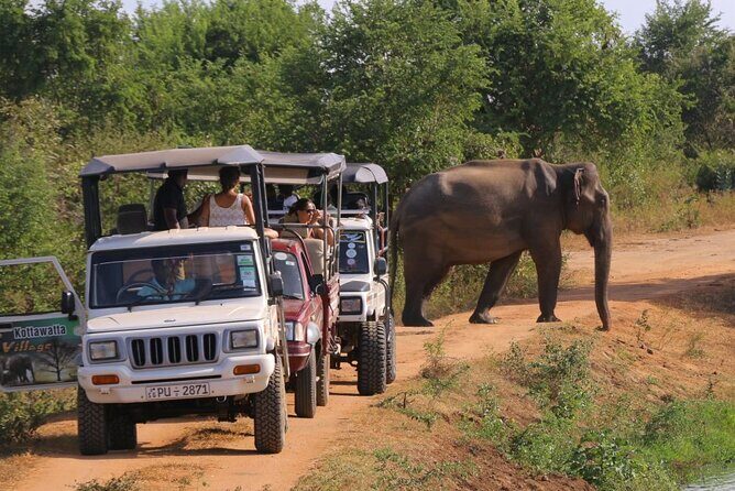 SriLanka Private 8Days Tour friendly Chauffeur+Vehicle with & without Hotel H/B - FAQ