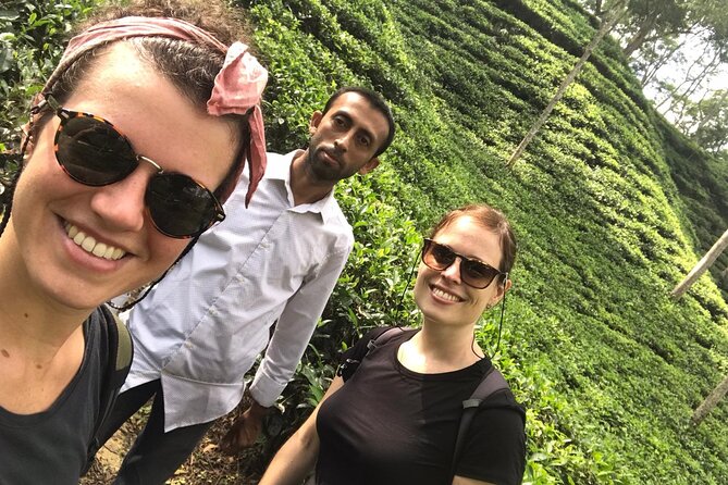 Srimangal nature tour in forest and tea garden - The Final Word