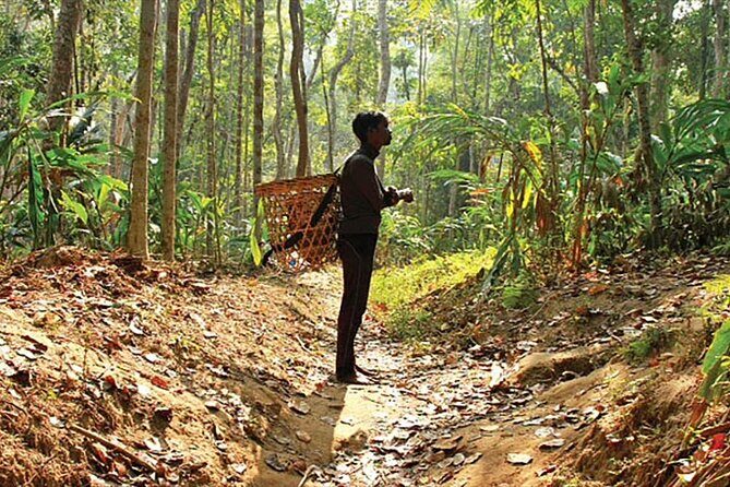Srimangal Overnight Private Tour from Dhaka - Who Will Love This Tour?