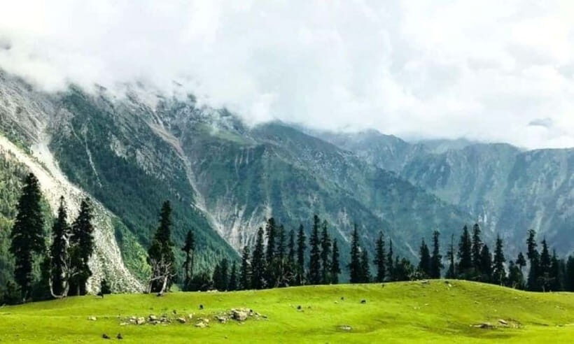 Srinagar: Doodhpathri Day Trip with Transfers - An In-Depth Look at the Doodhpathri Day Trip