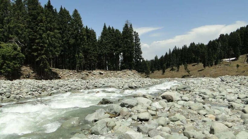 Srinagar: Doodhpathri Day Trip with Transfers - Practical Details and Tips for Travelers