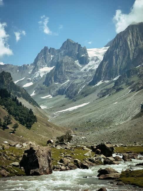 Srinagar: Sonamarg Day Tour - The Golden Meadow Adventure - The Sum Up