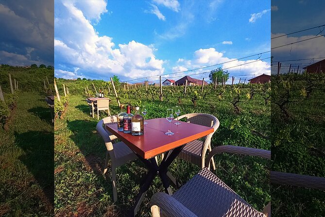 S&S Winery - Wine Tasting Experience in Ohrid - Wine Selection and Tasting Experience