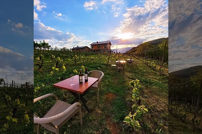 S&S Winery - Wine Tasting Experience in Ohrid - Meeting and Pickup Information