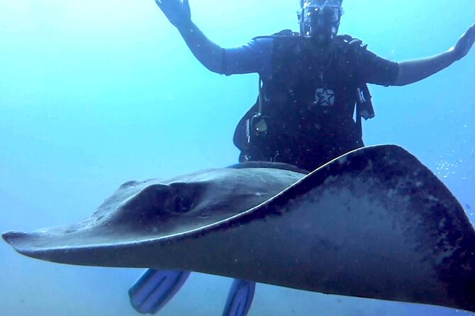 SSI Open Water Diver Course in Tenerife - Essential Skills You Will Learn